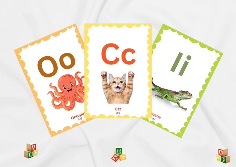 Animal Alphabet A–Z Flashcards With IPA & Guide | Printable PDF ...
