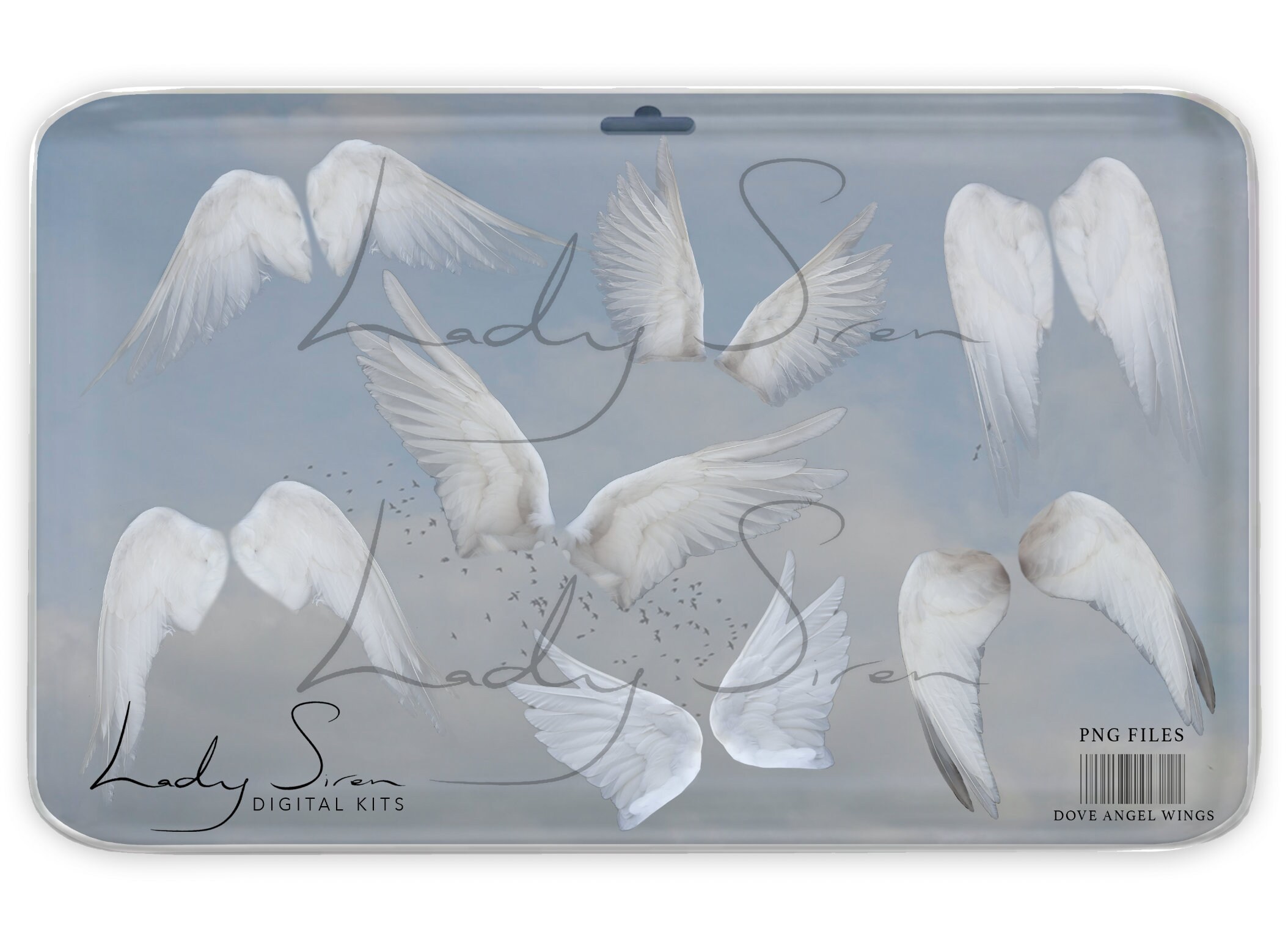 ANGEL 7 X Dove Angel Wings Digital Kit High Resolution - Etsy Canada