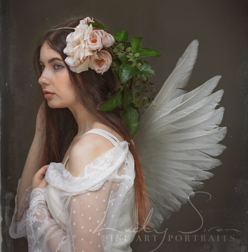 ANGEL 7 X Dove Angel Wings Digital Kit High Resolution - Etsy Canada