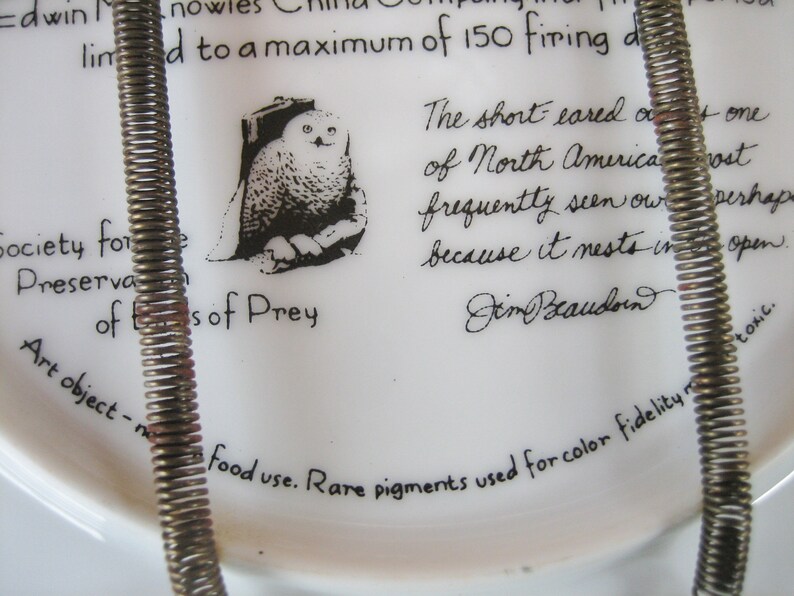 Knowles 1990 Short Eared Owl Plate & Hanger Jim Beaudoin Birds - Etsy