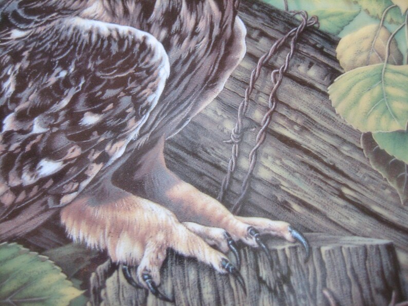 Knowles 1990 Short Eared Owl Plate & Hanger Jim Beaudoin Birds - Etsy