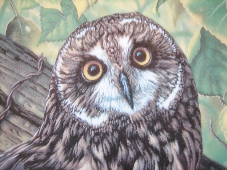 Knowles 1990 Short Eared Owl Plate & Hanger Jim Beaudoin Birds - Etsy