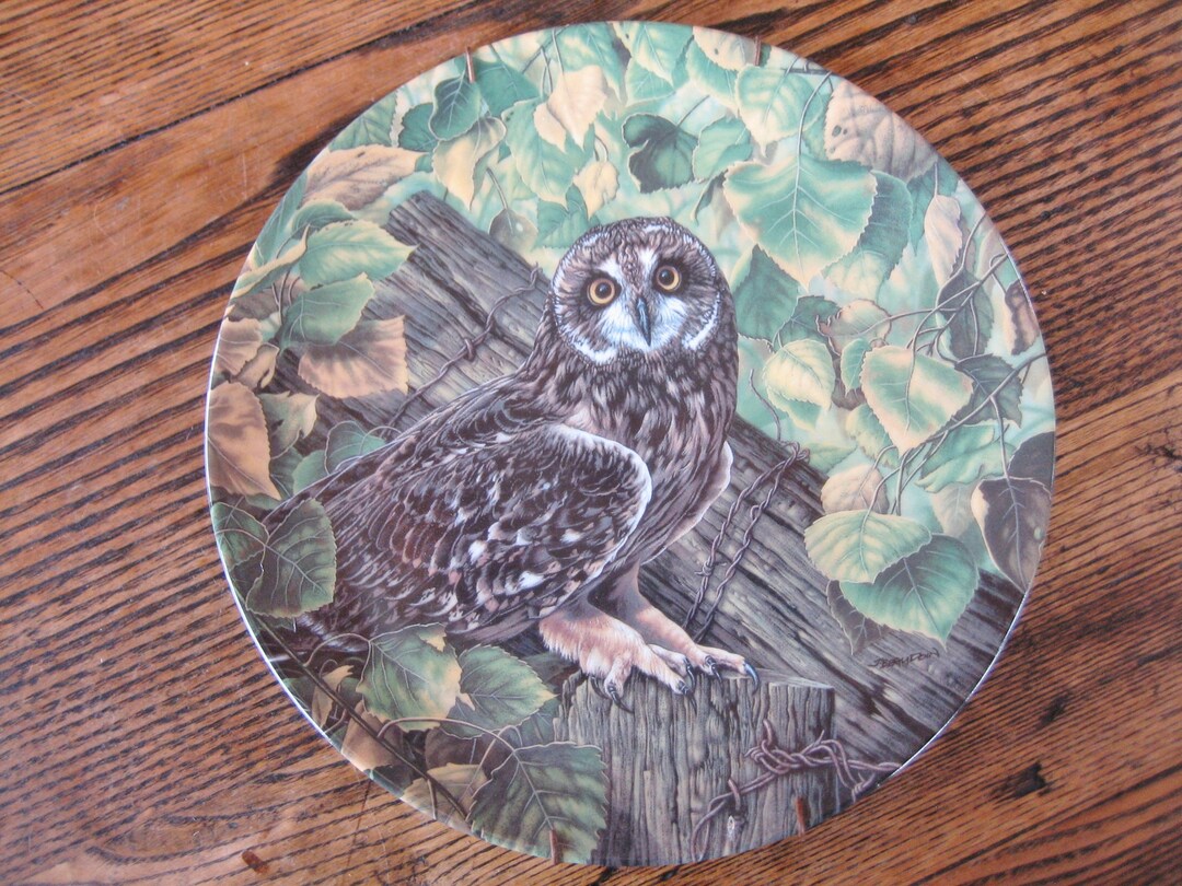 Knowles 1990 Short Eared Owl Plate & Hanger Jim Beaudoin Birds - Etsy