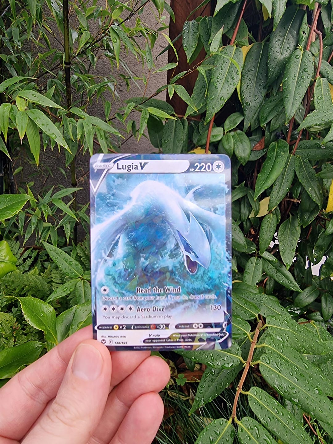 Lugia Proxy Card | Silver Tempest Lugia V Holo Art | Fan Made Pokémon ...