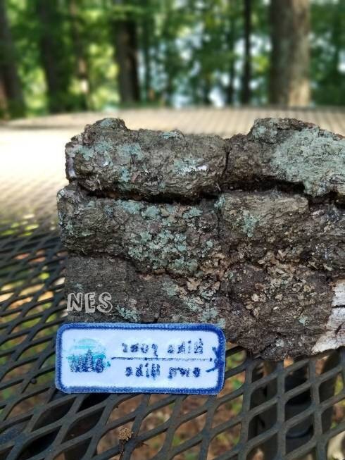 Hike your own Hike Patch Hiking Patch Iron On Patch | Etsy