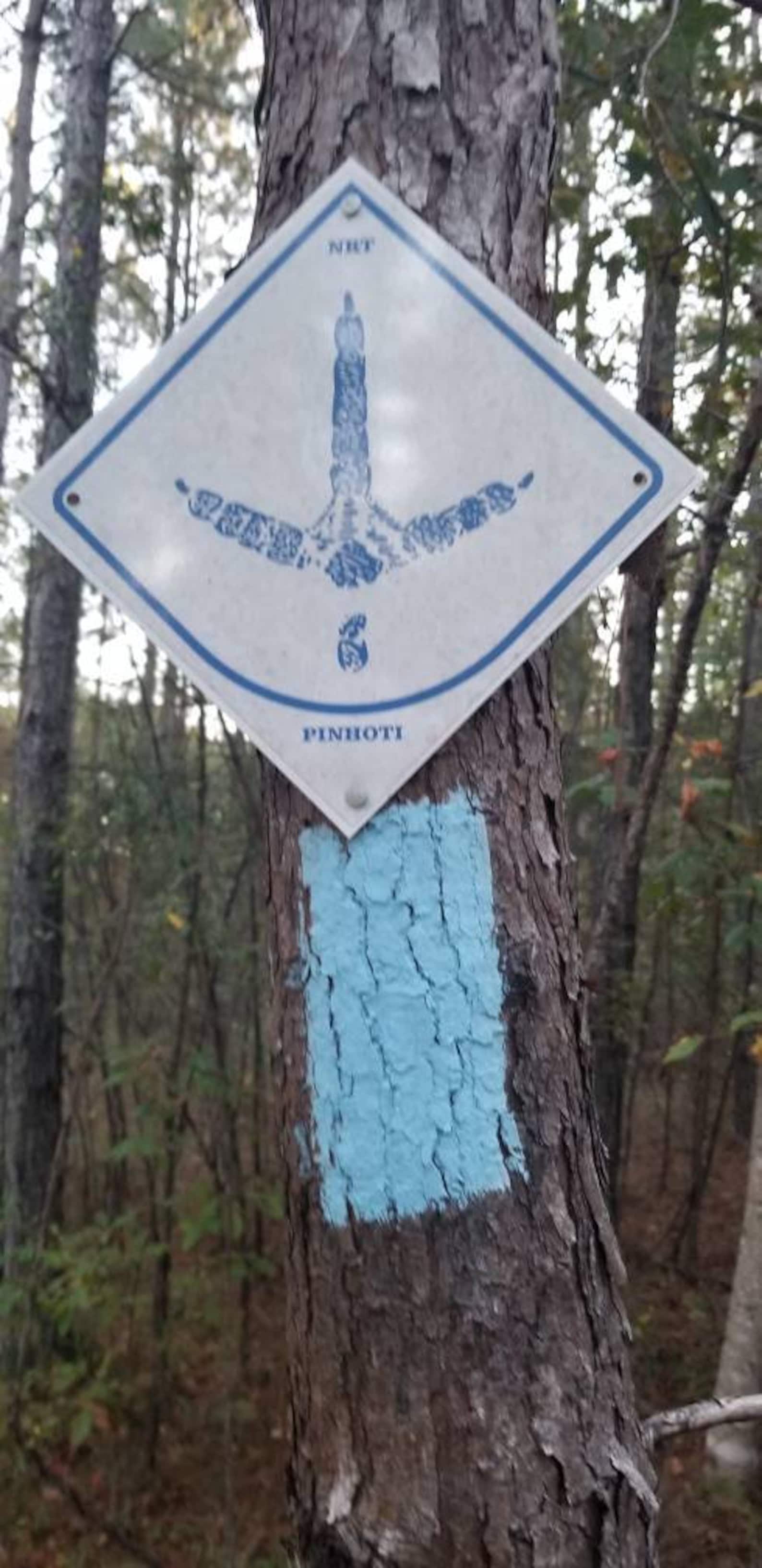 Small Pinhoti Trail Decal Turkey Foot Sticker Hiking - Etsy