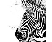 Zebra Ink Sketch Ink Drawing Pen and Ink Black and White - Etsy