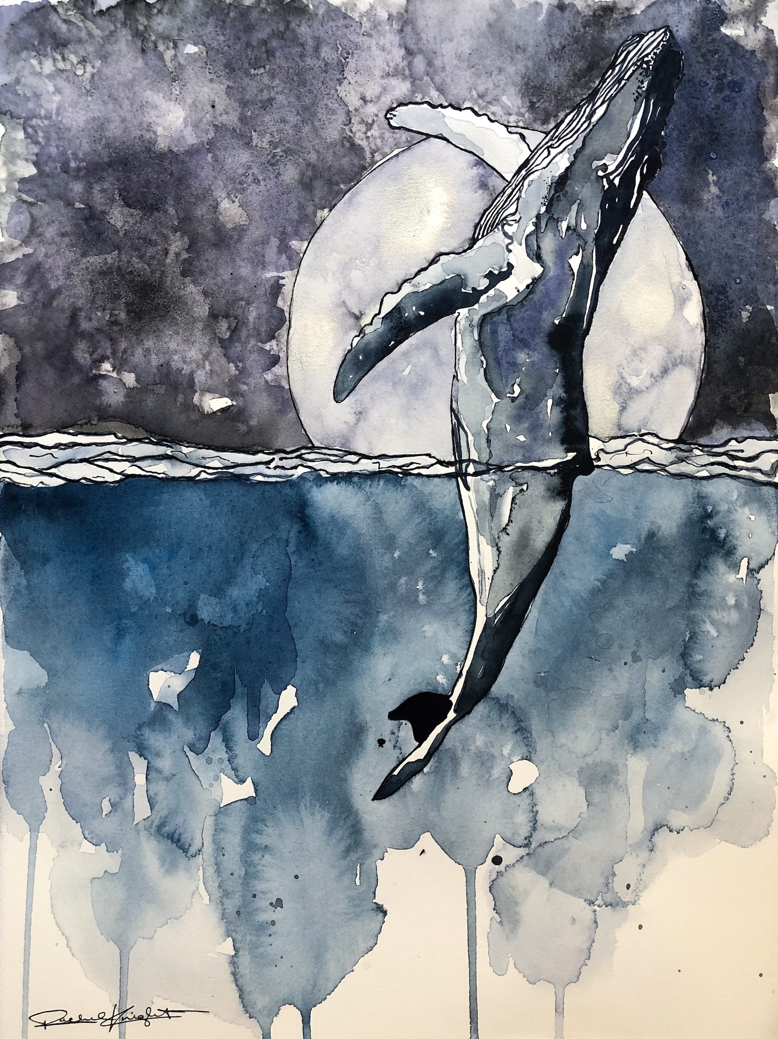 The Whale & the Moon, Humpback Whale, Art Print, Illustration ...