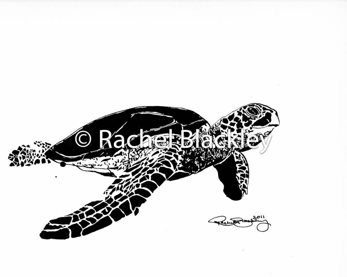 Sea Turtle Ink Sketch Ink Drawing Pen and Ink Black and - Etsy