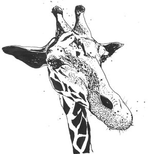 Giraffe - Ink Sketch, Ink Drawing, Pen and Ink, Black and White, Fine ...