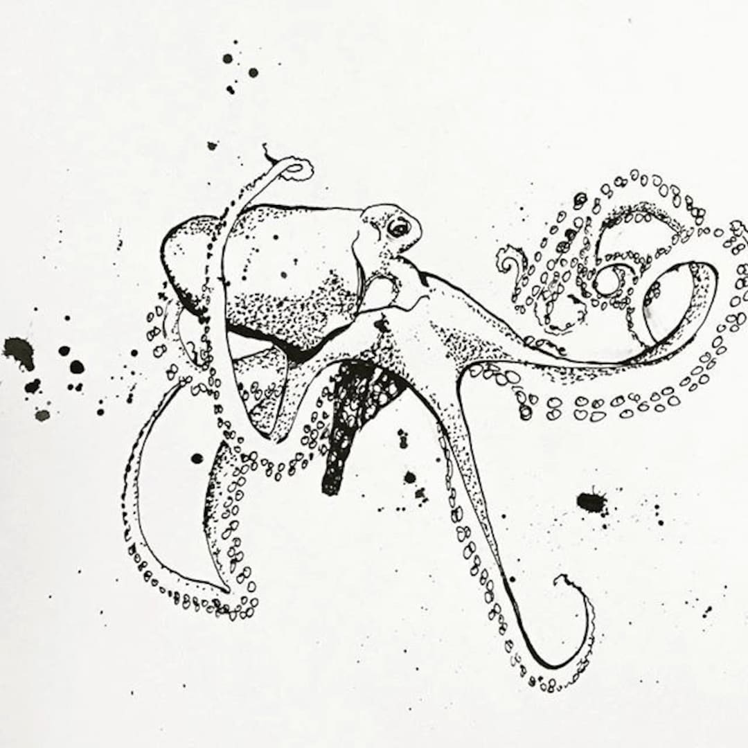 Octopus in Black - Ink Sketch, Ink Drawing, Pen and Ink, Black and ...