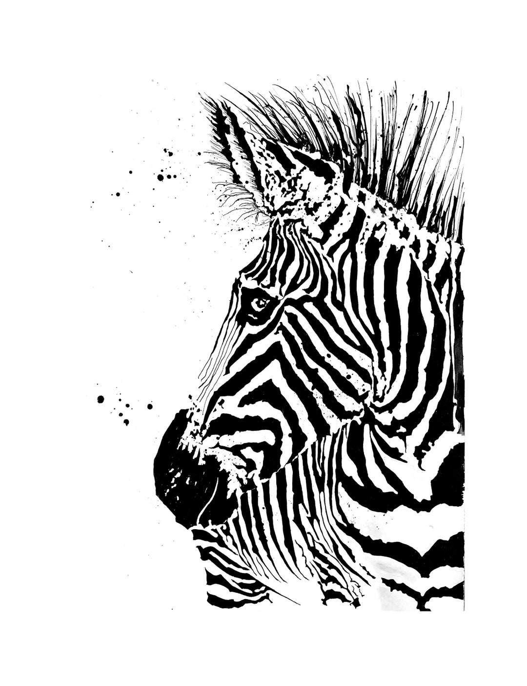 Zebra - Ink Sketch, Ink Drawing, Pen and Ink, Black and White, Fine Art ...