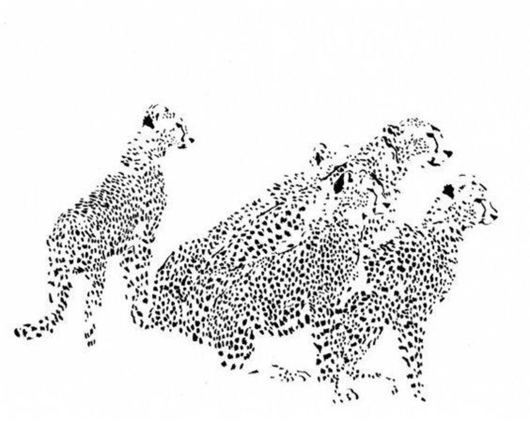 5 Cheetahs Ink Sketch, Ink Drawing, Pen and Ink, Black and White, Fine ...