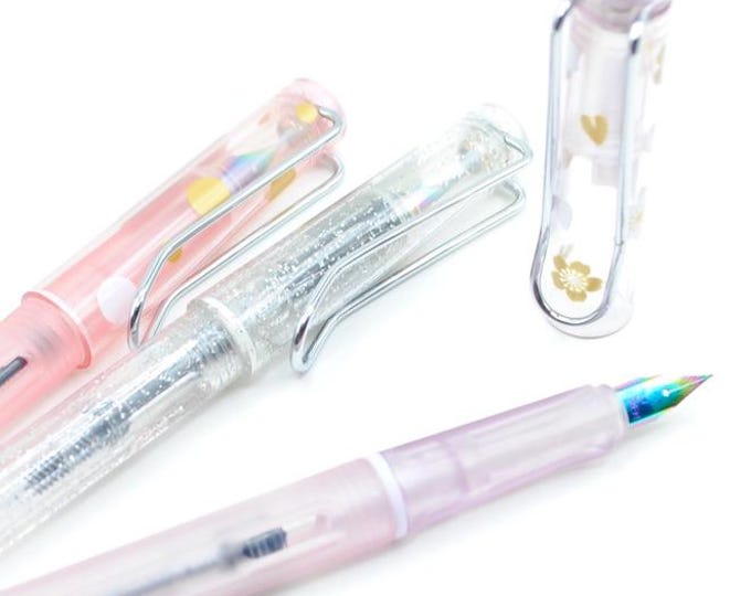 Transparent Fountain Pen With Iridescent Nib: Calligraphy Writing Pen ...