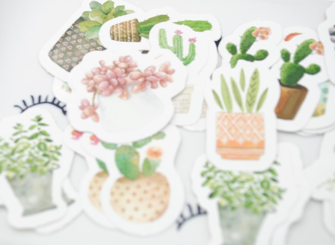PLANT LIFE STICKERS 45pc Sticker Pack Mini Plant Stickers Cactus ...