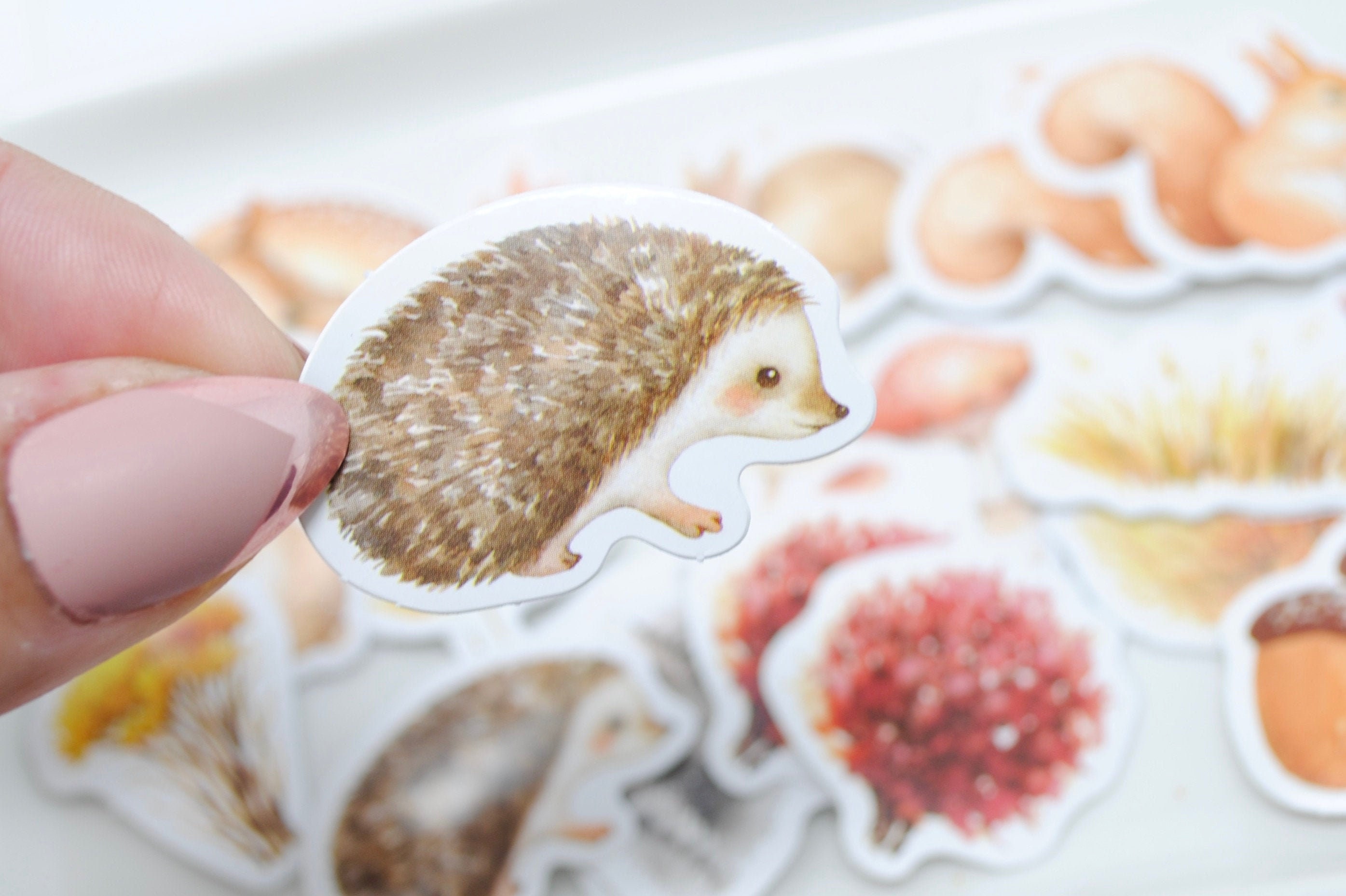 FALL FOLIAGE STICKERS 45pc Sticker Pack Autumn Stickers | Etsy