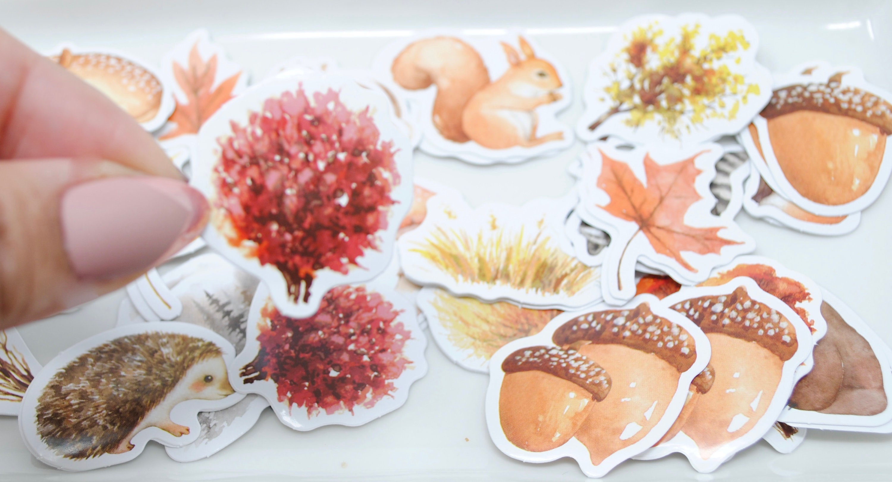 FALL FOLIAGE STICKERS 45pc Sticker Pack Autumn Stickers | Etsy