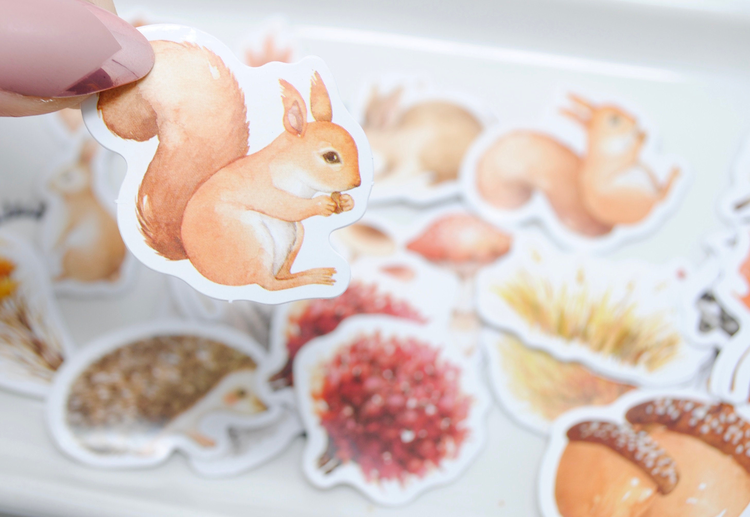 FALL FOLIAGE STICKERS 45pc Sticker Pack Autumn Stickers | Etsy