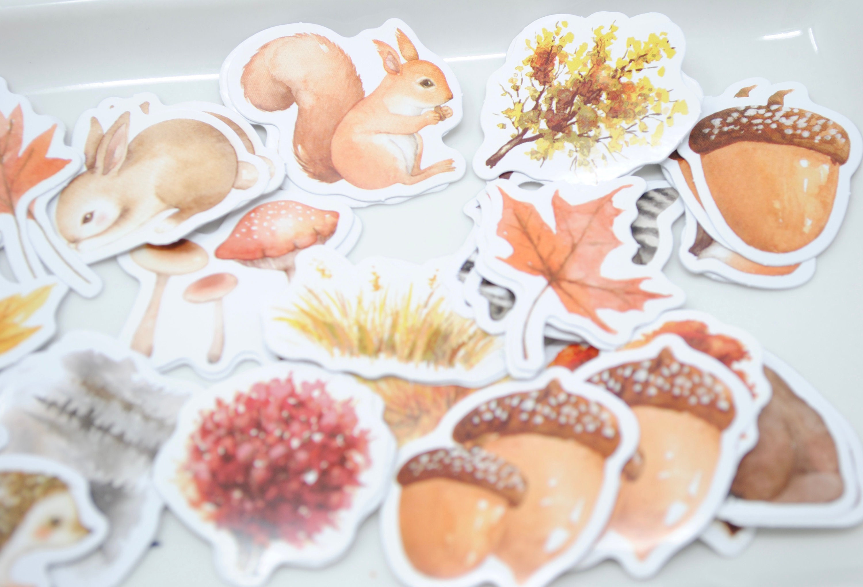 FALL FOLIAGE STICKERS 45pc Sticker Pack Autumn Stickers | Etsy