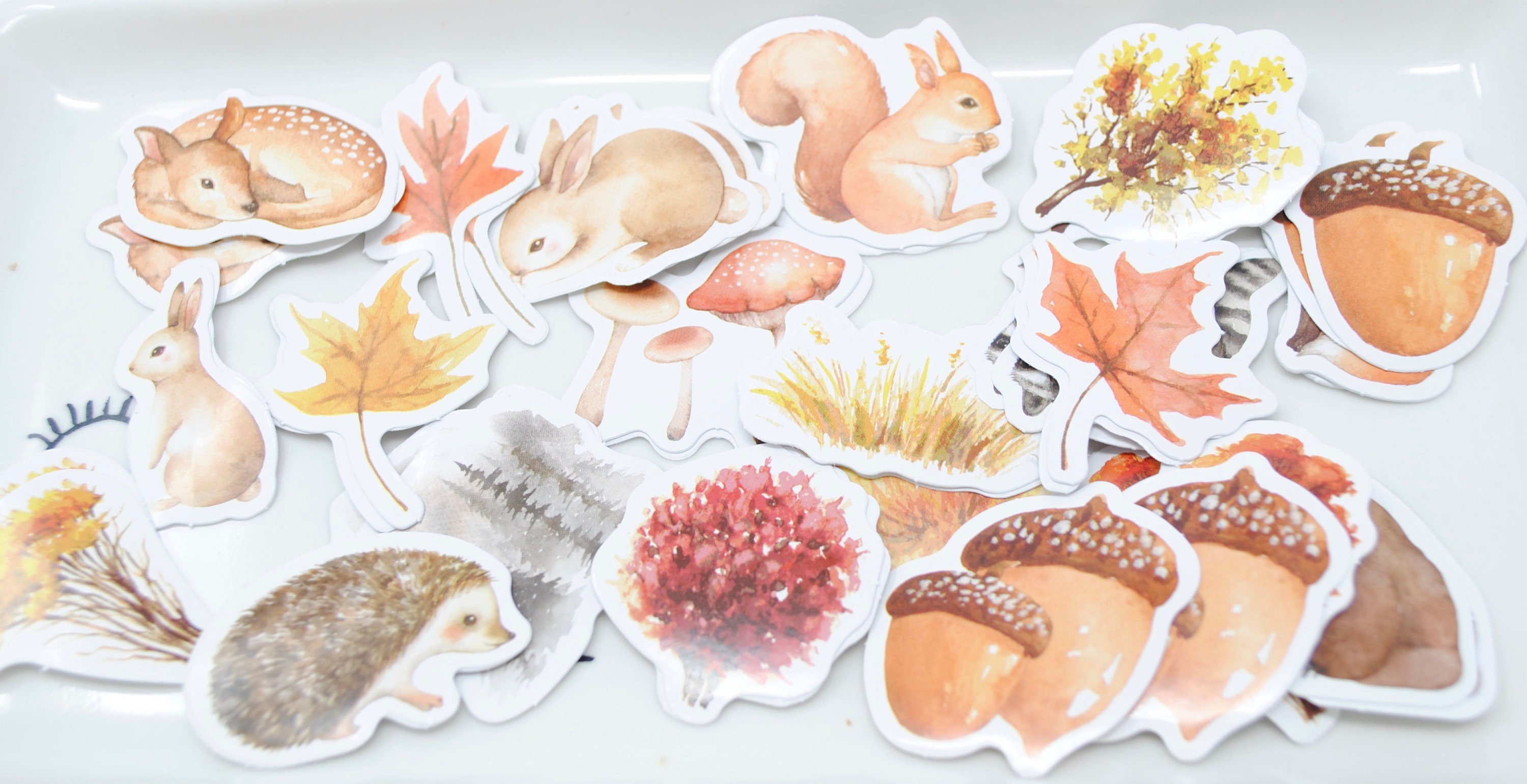 FALL FOLIAGE STICKERS 45pc Sticker Pack Autumn Stickers | Etsy