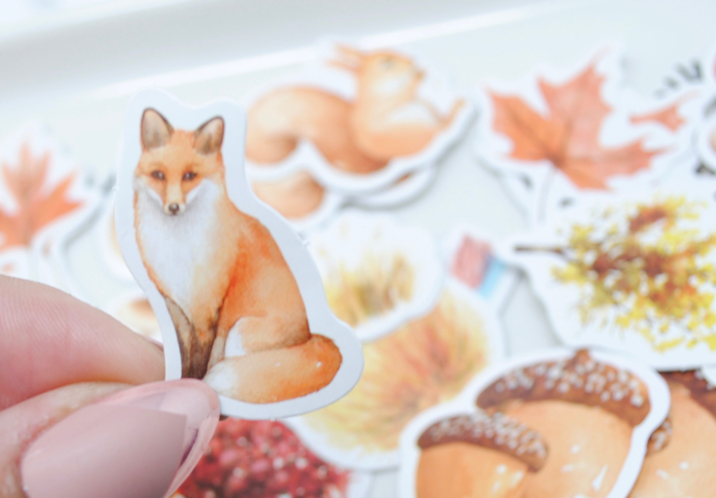 FALL FOLIAGE STICKERS 45pc Sticker Pack Autumn Stickers | Etsy