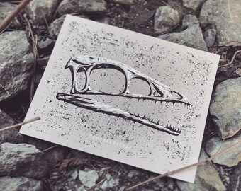 Compsognathus Skull - Etsy