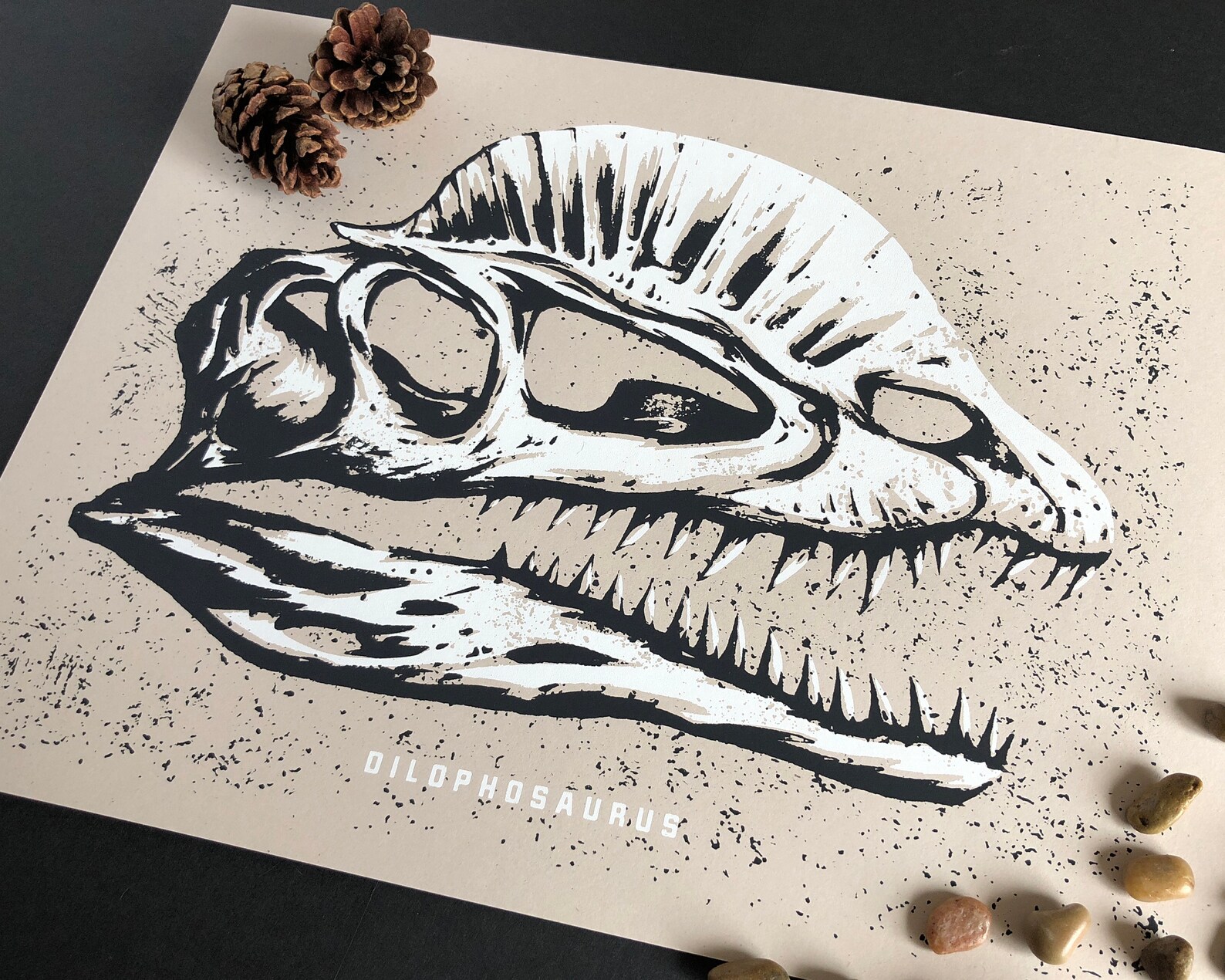 Dilophosaurus Art Print - Jurassic Dinosaur Gift - School Oddities ...