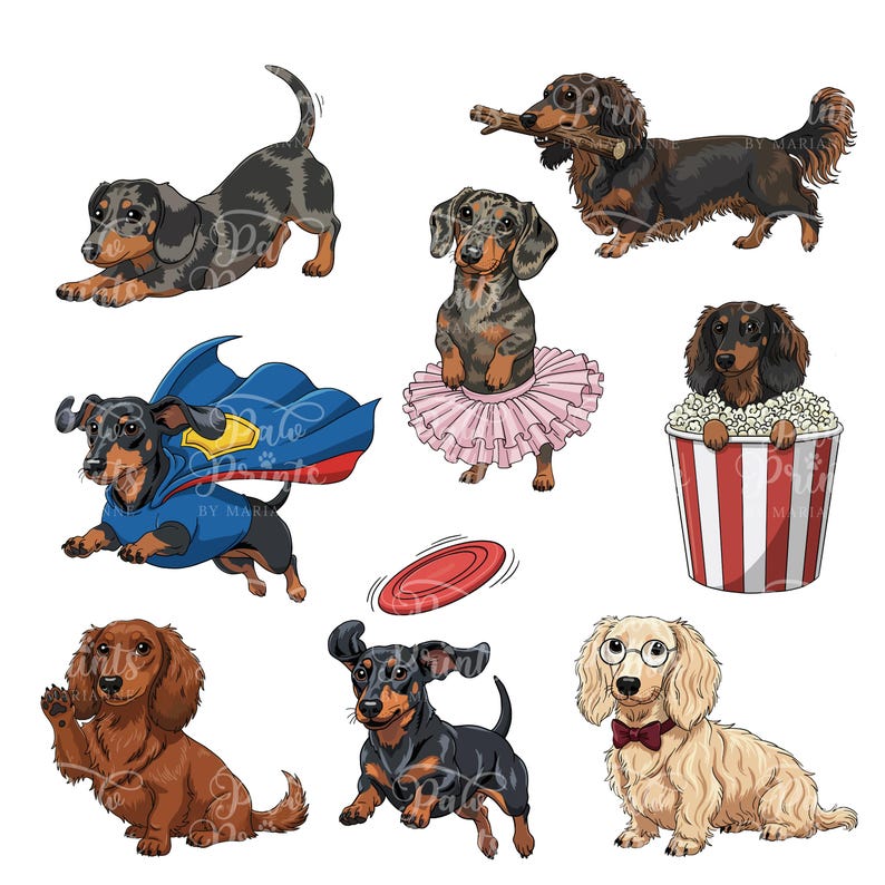 Dachshund Clipart Bundle PNG Hand Drawn Doxie Illustrations Cute Wiener ...