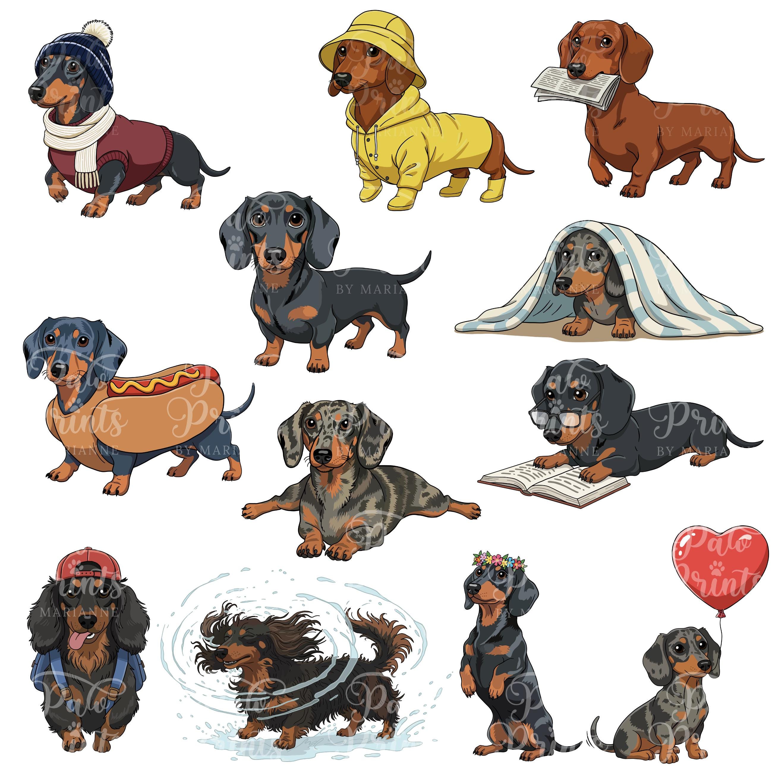 Dachshund Clipart Bundle PNG Hand Drawn Doxie Illustrations Cute Wiener ...