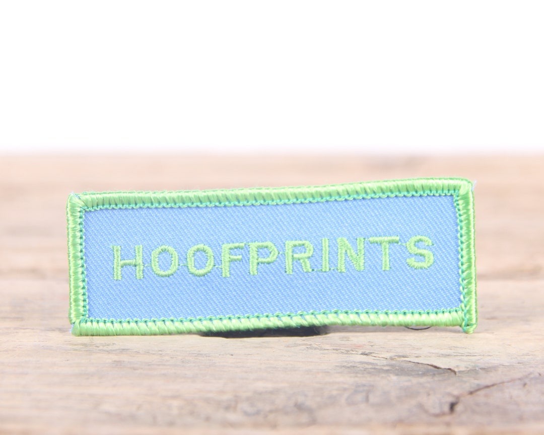 Vintage Girl Scout Patch / 1970's-80's Scout Patch / Green Blue ...