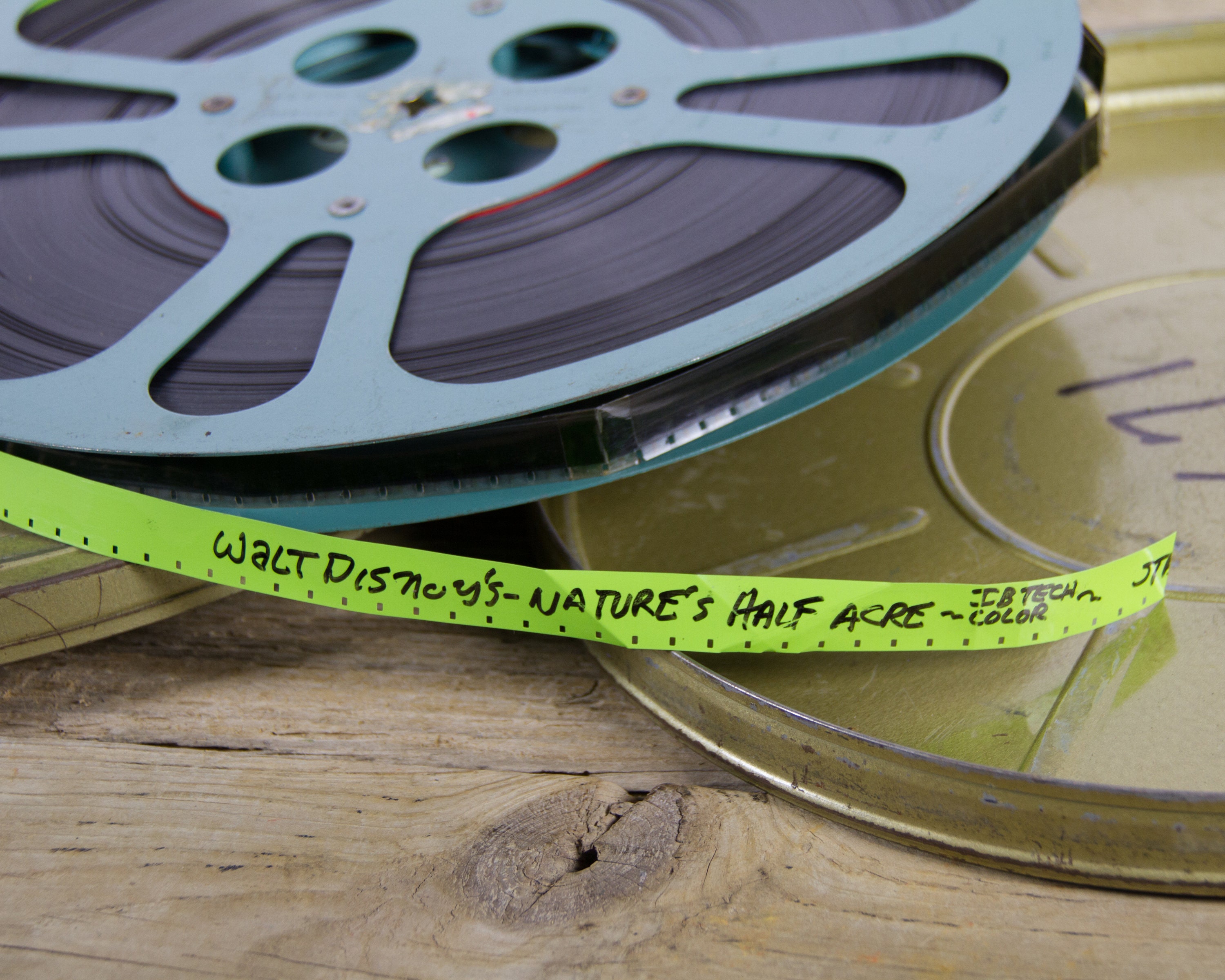 Vintage 16mm Movie Disney Natures Half Acre Insects Birds