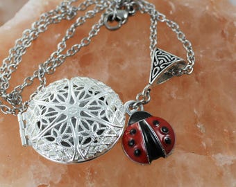 Ladybug locket | Etsy