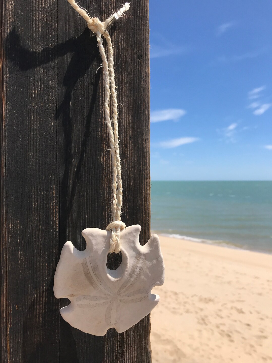 Keyhole Sand Dollar Baja California Mexico - Etsy