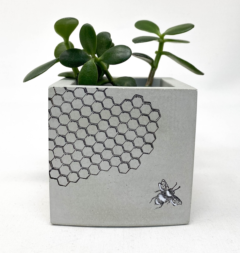 Concrete Planter Square Cube Bees & Honeycomb Planter | Etsy
