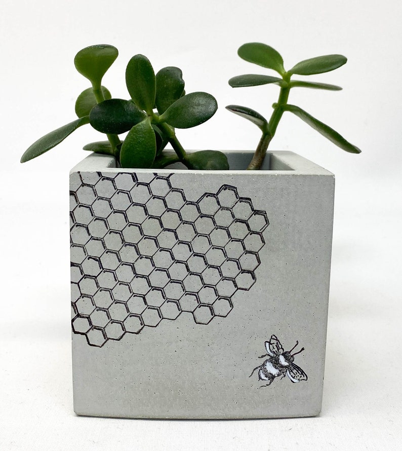 Concrete Planter, Square, Cube, Bees & Honeycomb Planter, Concrete ...