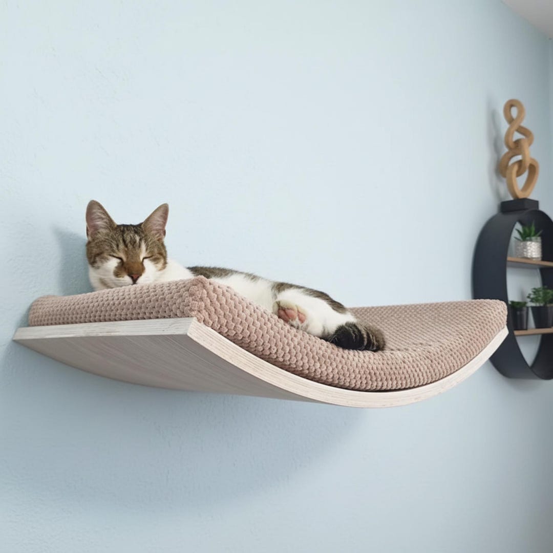 Modern Floating Cat Shelf – Wall Mounted Perch With Cushion, Minimalist ...