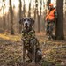 Camouflage Dog Pattern Pet Hoodie | Camo Print Hoodie for Dogs Duck ...