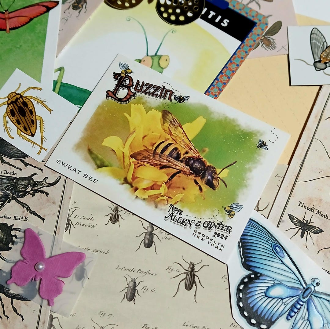 15 Piece Hand Cut Insect Ephemera Paper Pack, Assorted Lot for Junk ...