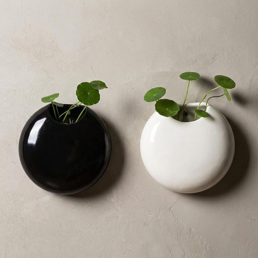 Ceramic Shell Wall Vase, Conch Wall Hanging Vase, Minimal Coastal Wall ...