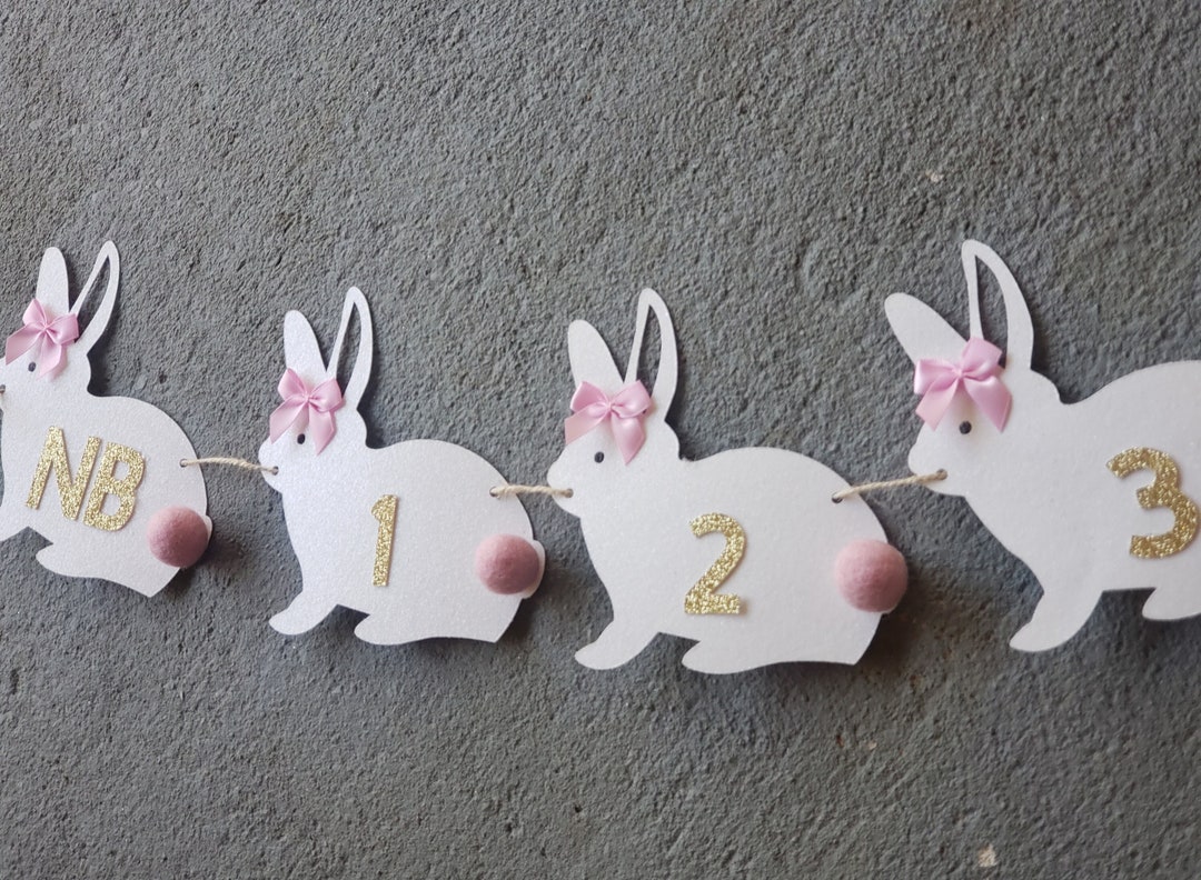Some Bunny is One Photo Banner, Pink and White Bunny First Birthday ...