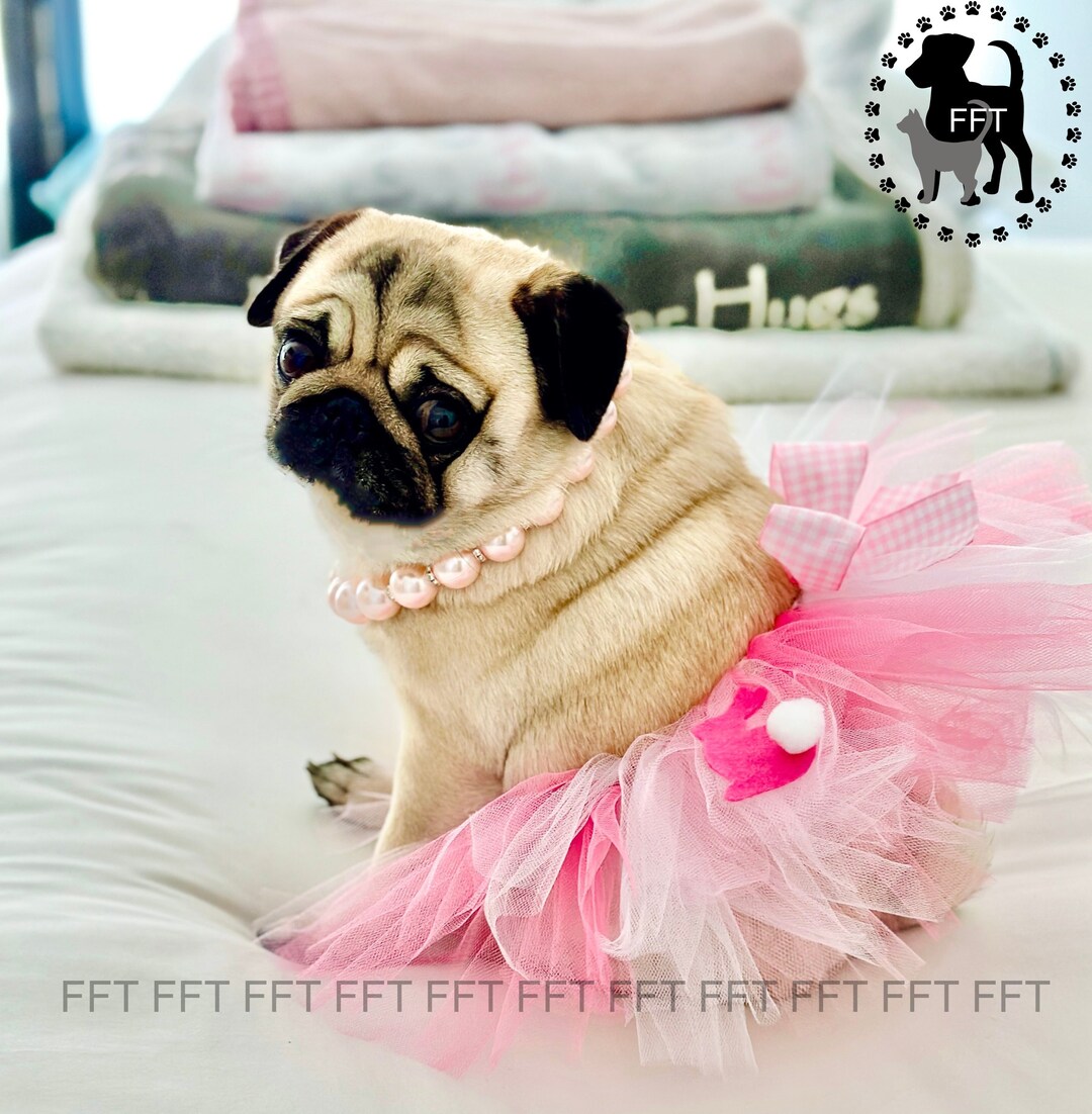 Dog, Cat, Tutu, Easter Bunny - Etsy