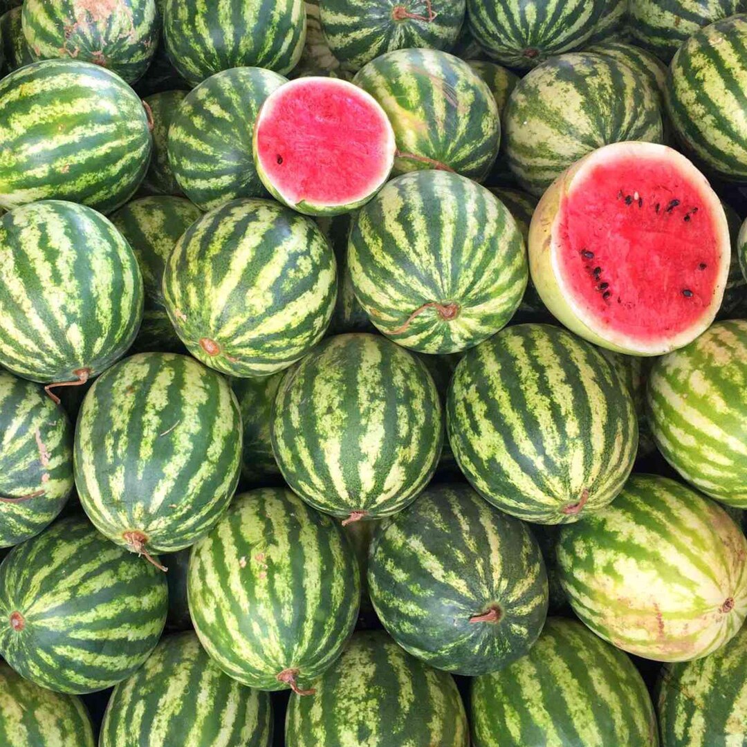 50 Big Tasty Seedless Watermelon Seeds, Sweet Juicy Fruit for Home ...