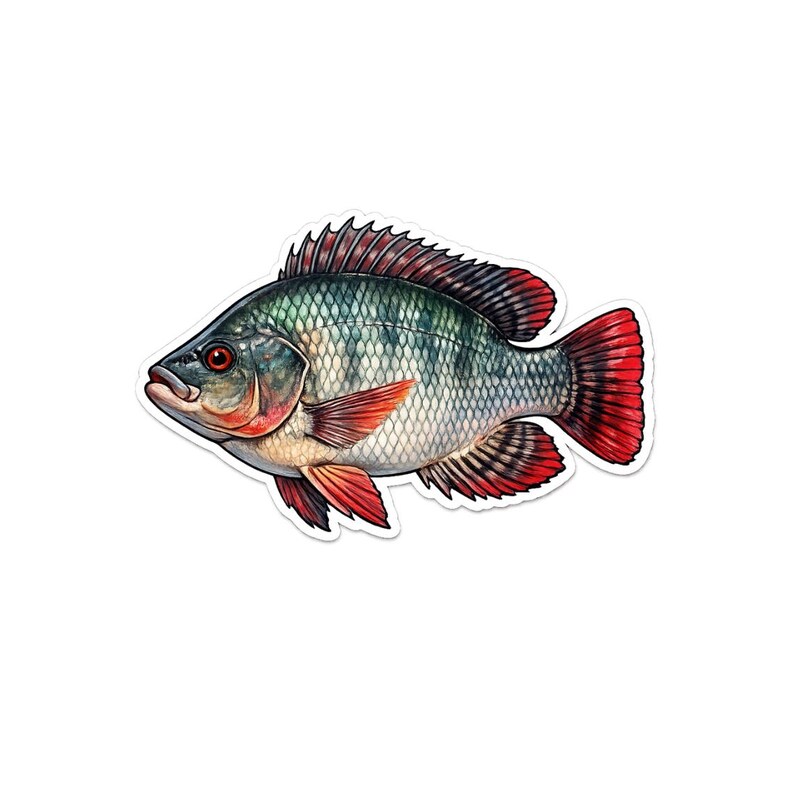 Animal Protein Food Clipart PNG Bundle | Realistic Sticker ...