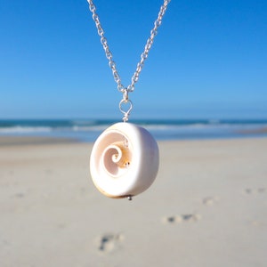 Mermaid Shell Necklace Large Luhuanus Everlasting Shell Chunky Shell ...