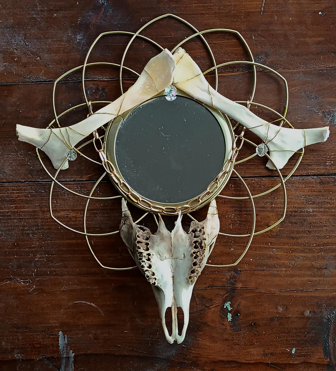 Taxidermy Skull Mirror With Metal Wrap Bones and Beads - Etsy