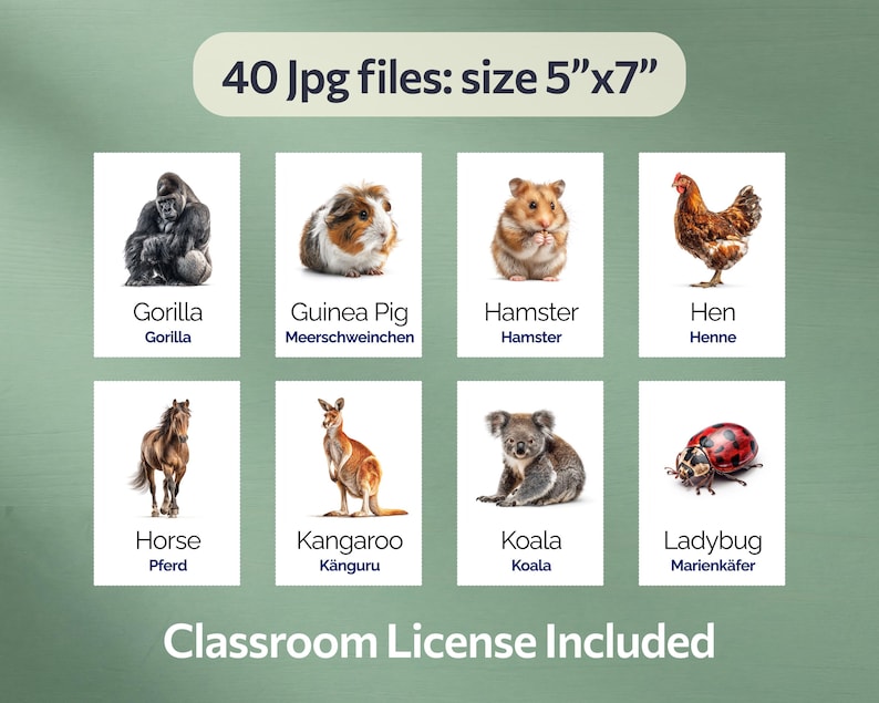 Bilingual Animal Flashcards English German: 40 Language Learning Cards ...