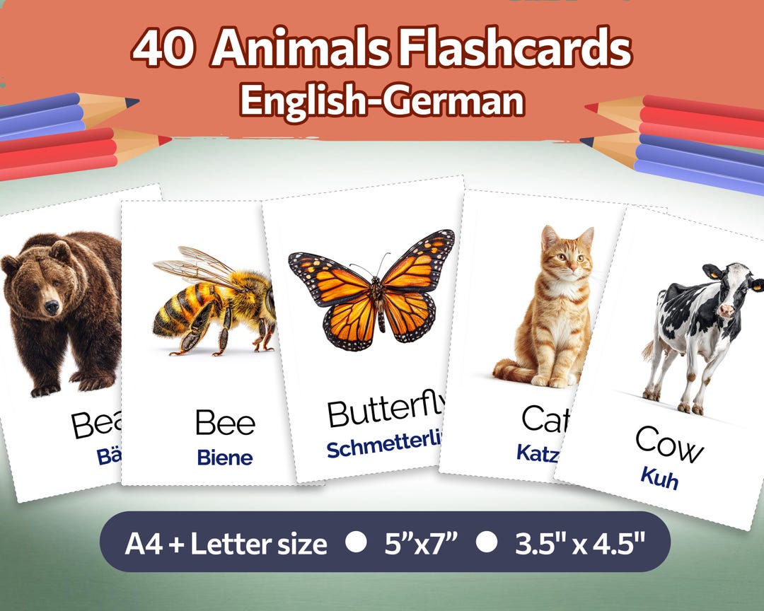Bilingual Animal Flashcards English German: 40 Language Learning Cards ...