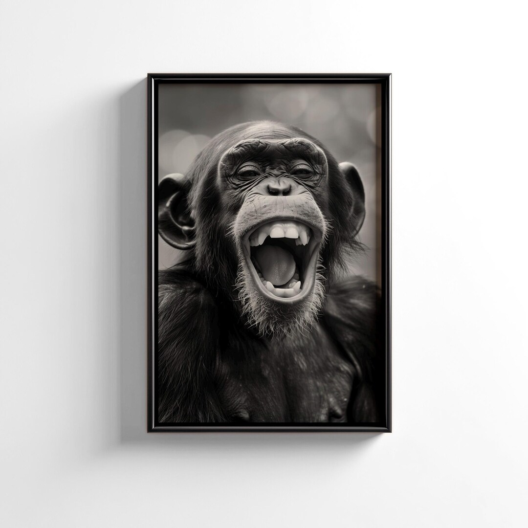 Laughing Chimpanzee Wall Art | Black and White Primate Portrait | Funny ...
