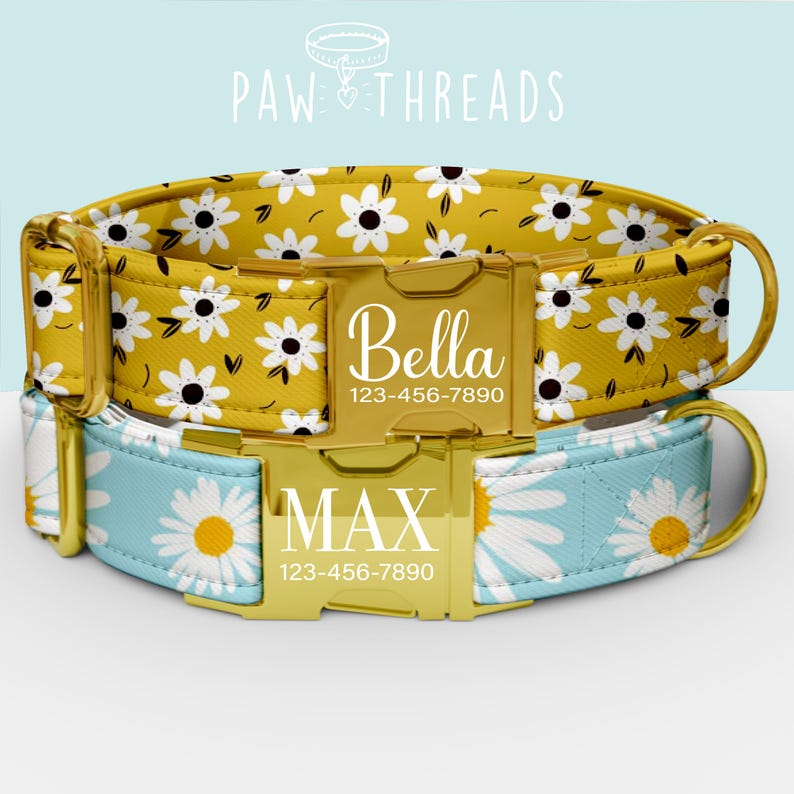 Daisy Personalized Dog Collar, Girl Daisy Pattern Collar With ...