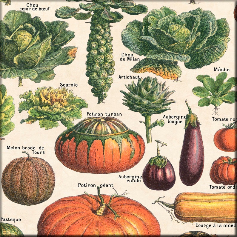 Kitchen Wall Art French Kitchen Decor Culinary Gifts | Etsy